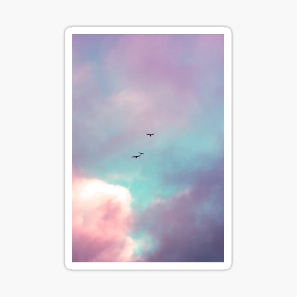"Pink Sky Sunset Birds Flying" Sticker by banginT | Redbubble