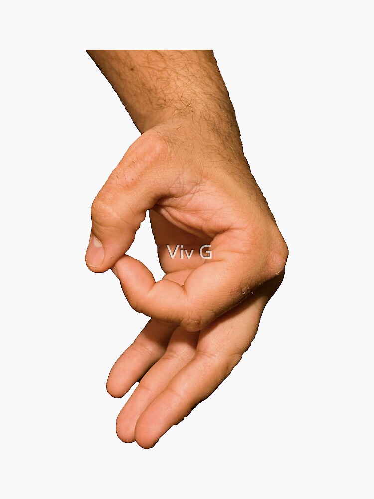 "the circle game meme" Sticker for Sale by indieguo | Redbubble