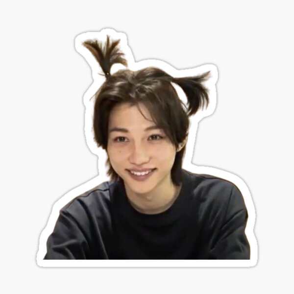 "Stray Kids Felix cute pigtails " Sticker for Sale by Monahh98 | Redbubble