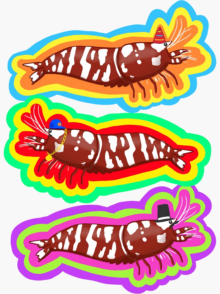 "Shrimp Rave" Sticker for Sale by Xetalo | Redbubble