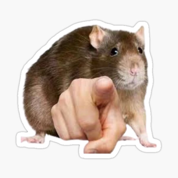 "Rat Pointing Meme" Sticker for Sale by NessOkey | Redbubble
