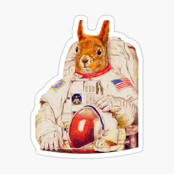 "Flying squirrel" Sticker for Sale by ppapelotijera | Redbubble