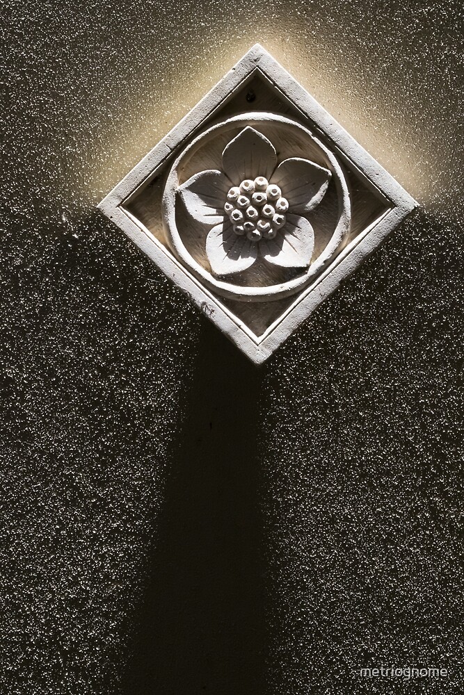 "A Sign From Above" by metriognome | Redbubble