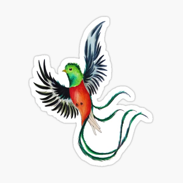 "Flying Quetzal in Watercolor" Sticker for Sale by julyperson | Redbubble