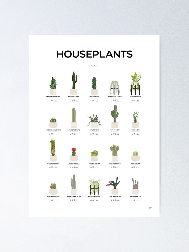 "Cacti Houseplants Chart" Poster for Sale by Travel2NZ | Redbubble