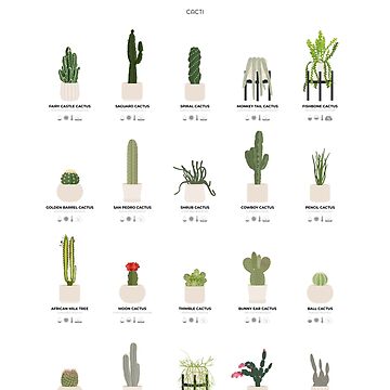"Cacti Houseplants Chart" Poster for Sale by Travel2NZ | Redbubble