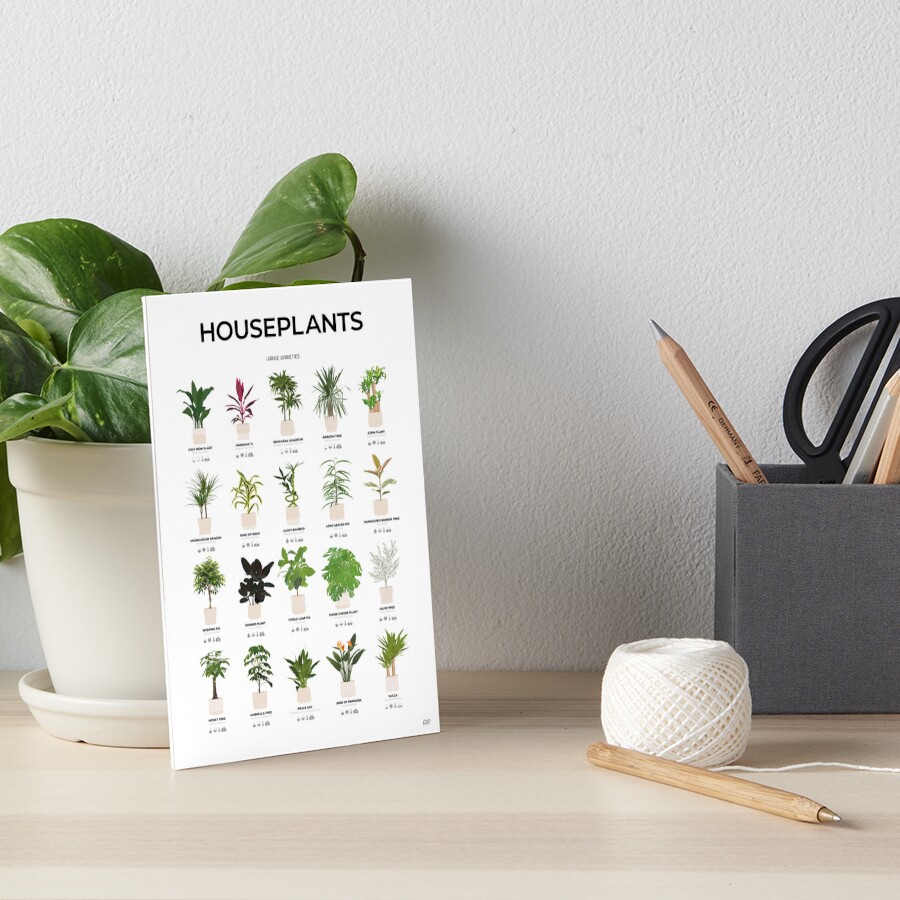 "Large Houseplants Chart" Poster for Sale by Alo Design | Redbubble