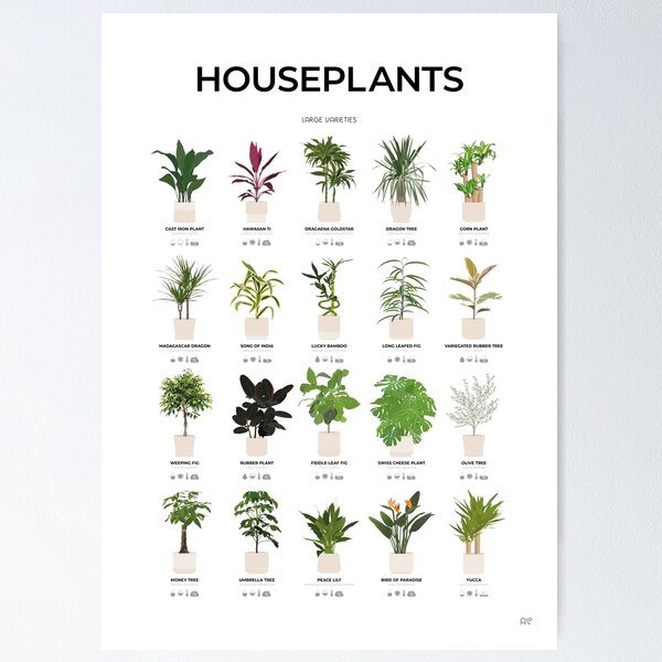 "Large Houseplants Chart" Poster for Sale by Alo Design | Redbubble
