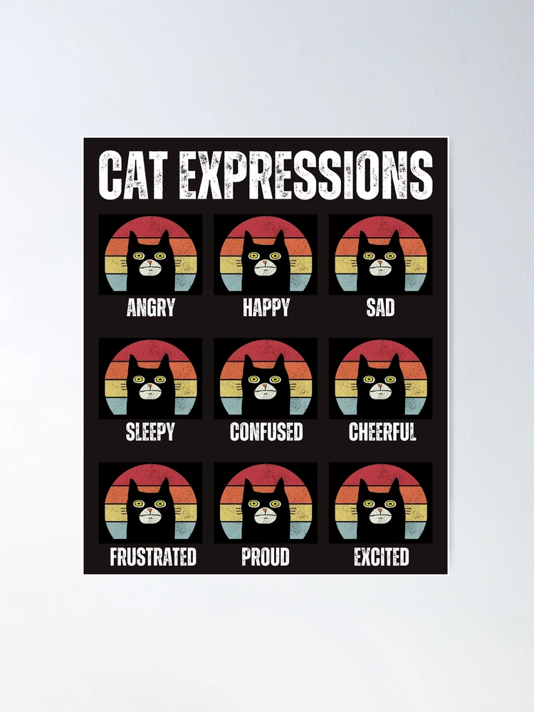 Funny Cat Expressions
