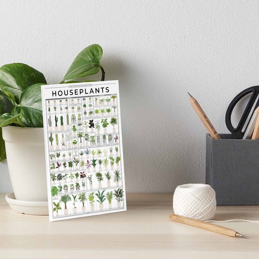 "The Horticultural Chart of Houseplants | The Ultimate Guide of 100 ...