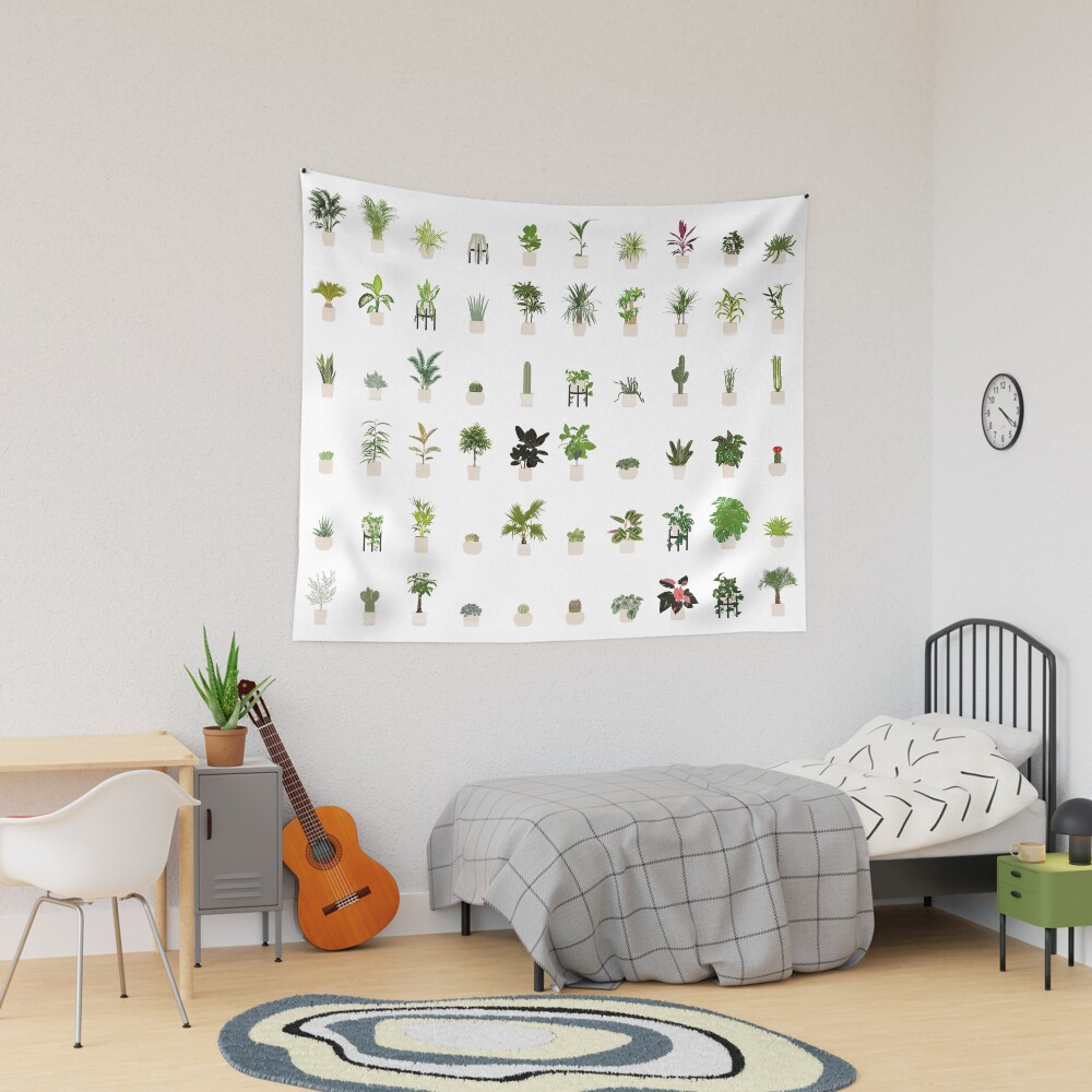 "The Horticultural Chart of Houseplants | The Ultimate Guide of 100 ...