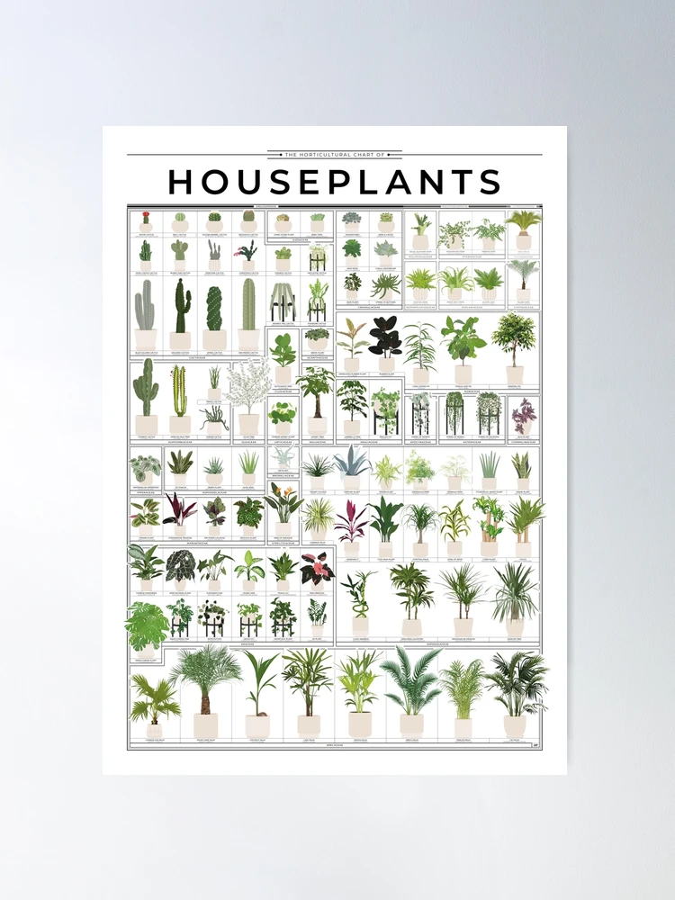 The Horticultural Chart Of Houseplants In 2020 Common UK: Average