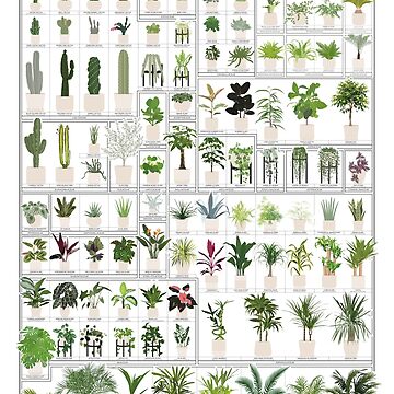 The Horticultural Chart Of Houseplants In 2020 Common UK: Average