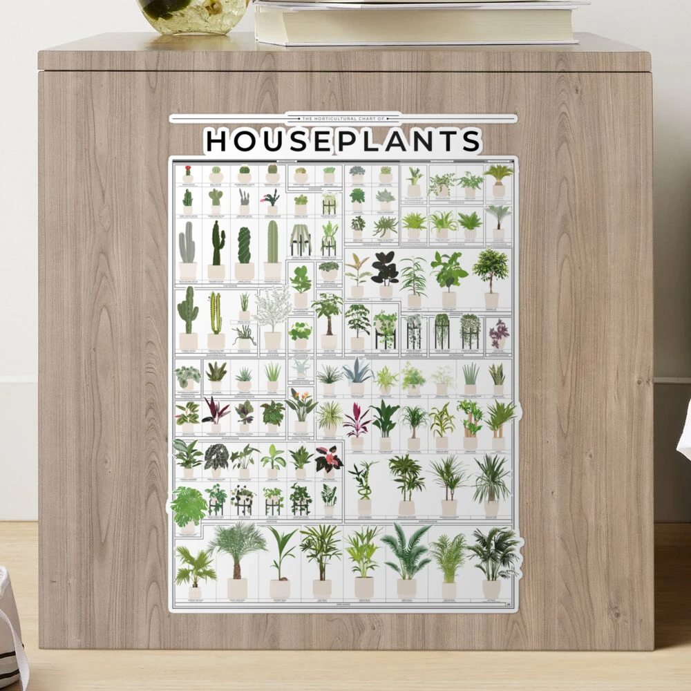 The Horticultural Chart Of Houseplants In 2020 Common UK: Average