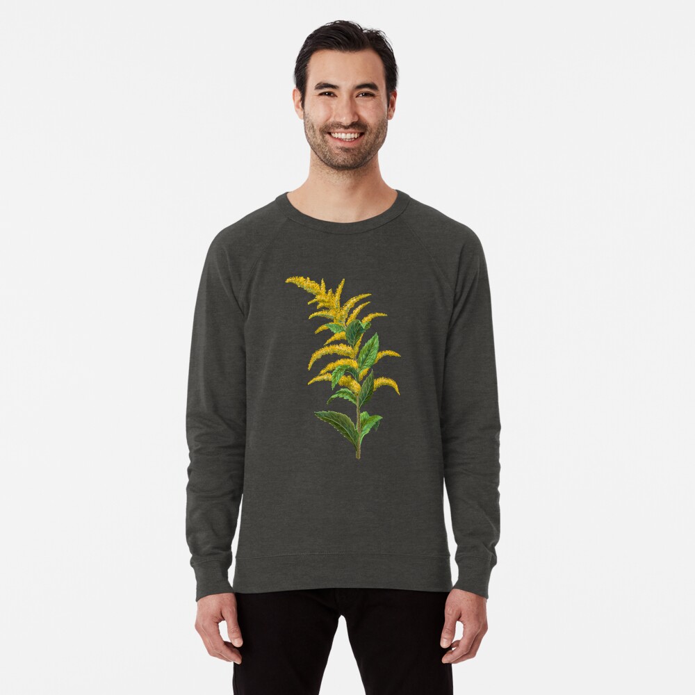 "Wrinkleaf Goldenrod Rough-stemmed Goldenrod Scientific Illustration ...
