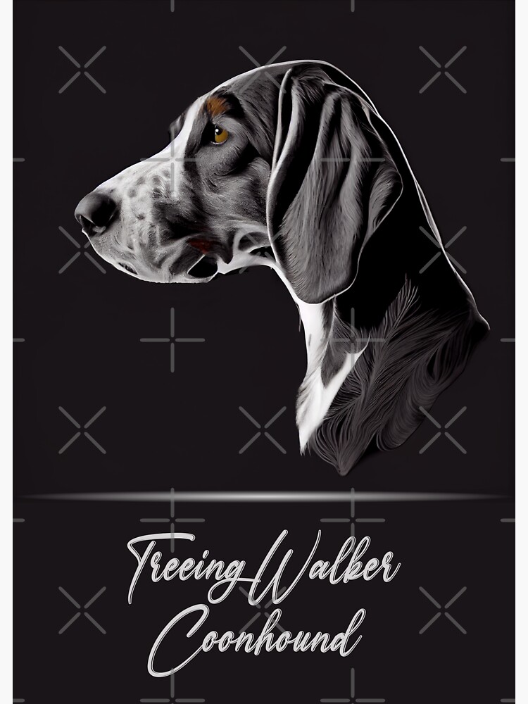"Treeing Walker Coonhound" Sticker for Sale by Best-Breeds | Redbubble