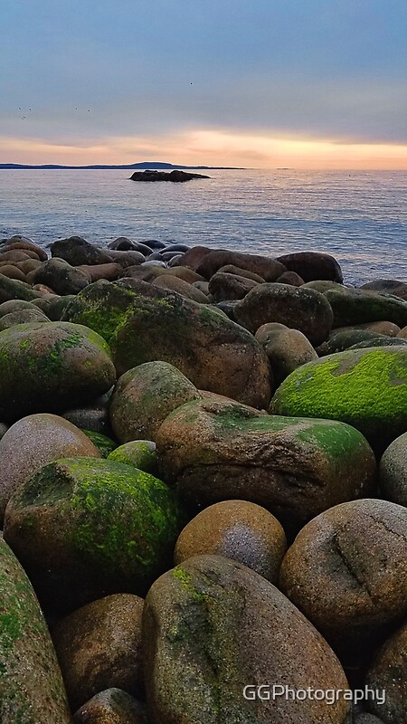 "Acadia Rocks and Ocean" by GGPhotography | Redbubble