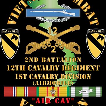 "Army - Vietnam Combat Cavalry Veteran w 2nd Bn 12th Cav Regt w CIB ...