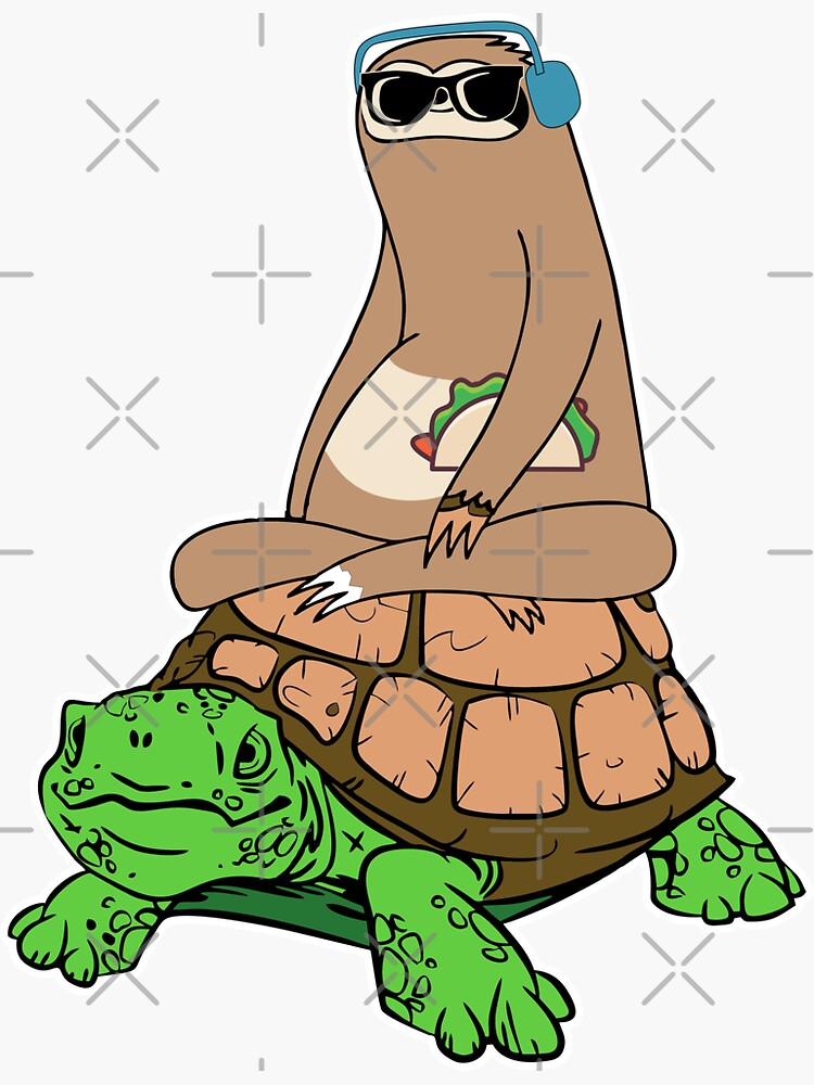 "Sloth Riding Turtle With Taco T Shirt | Sloth and Turtle Shirt ...