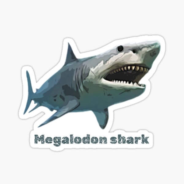 Megalodon Merch & Gifts for Sale | Redbubble