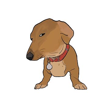 "Side eye dog dachshund meme" Greeting Card for Sale by Hanasroad ...