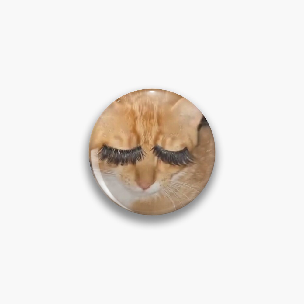 "funny adorable cute cat meme" Sticker for Sale by olivia050607 | Redbubble