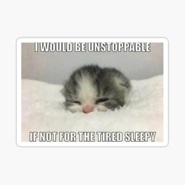 "cute cat tired meme" Sticker for Sale by olivia050607 | Redbubble