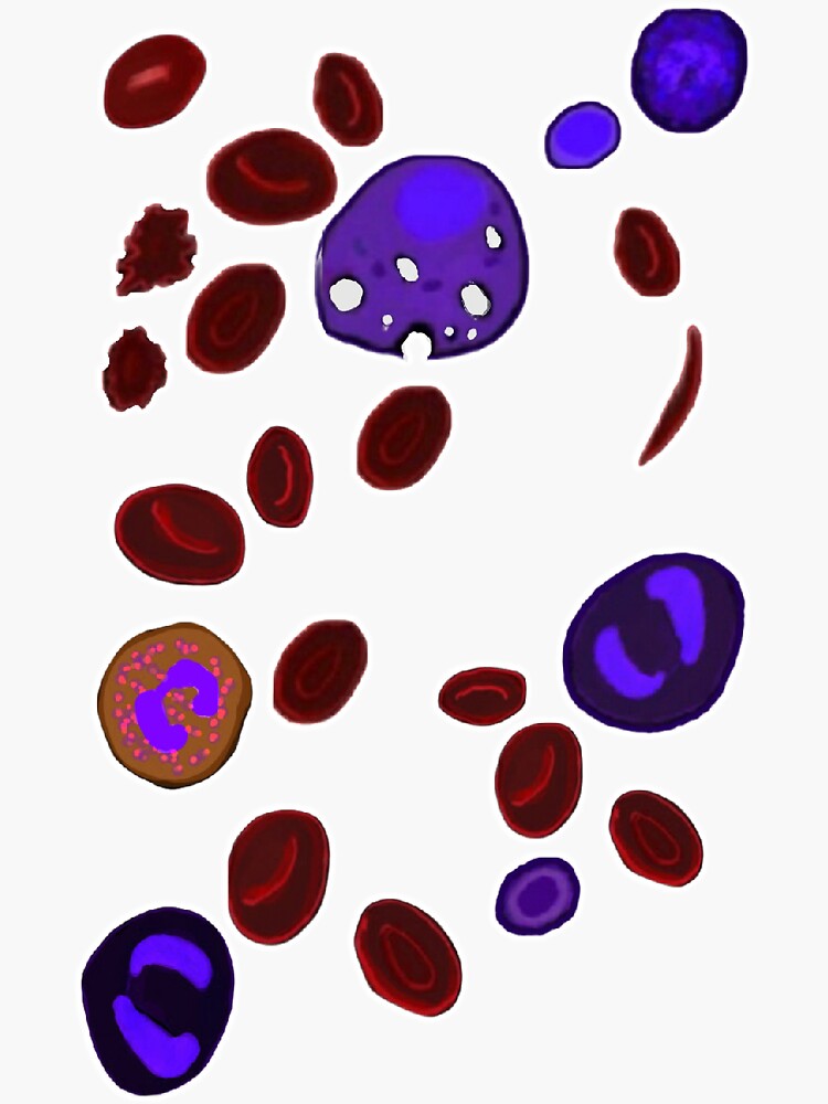 "RBc WBC Morphology" Sticker for Sale by IamBrookesoyeah | Redbubble