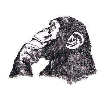 "The thinker monkey" Sticker for Sale by mdounis | Redbubble