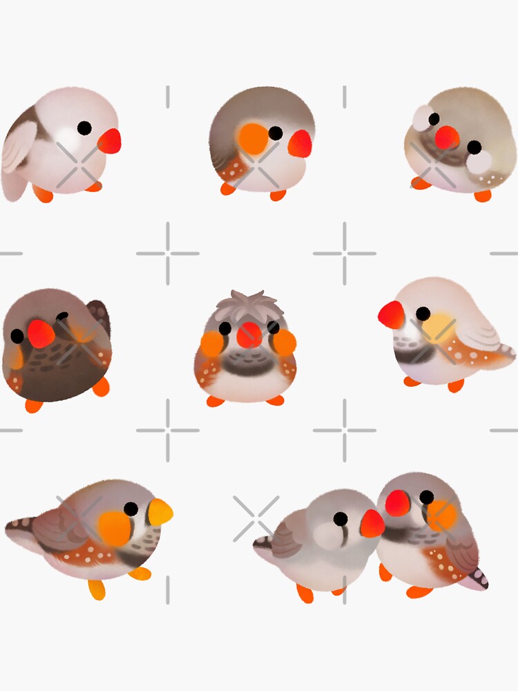 "Zebra finch" Sticker for Sale by pikaole | Redbubble