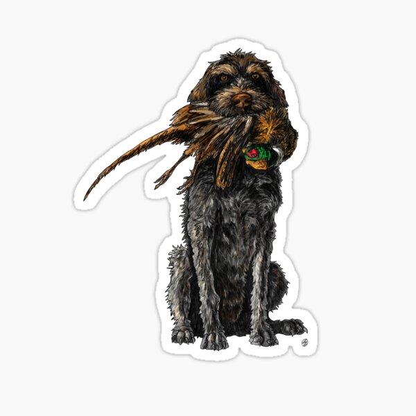 "Fowl-mouth Drahthaar" Sticker von DavidBurgessRT | Redbubble