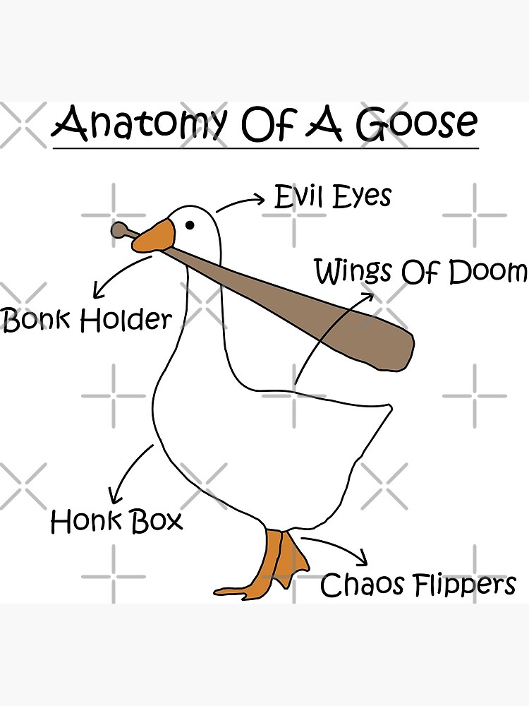 "Anatomy Of A Goose Meme - funny goose with bonk meme" Poster for Sale ...