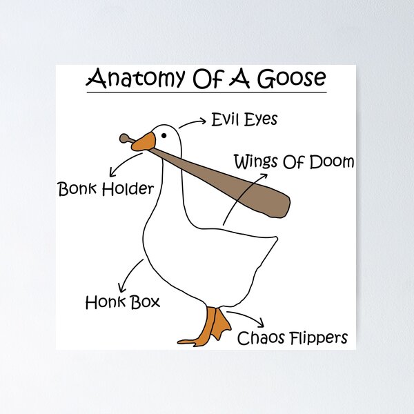 "Anatomy Of A Goose Meme - funny goose with bonk meme" Poster for Sale ...