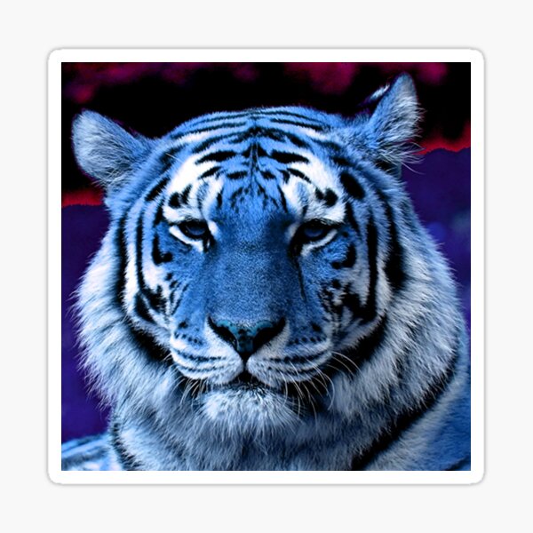 "African Wild Blue Tiger" Sticker for Sale by TeamBride | Redbubble