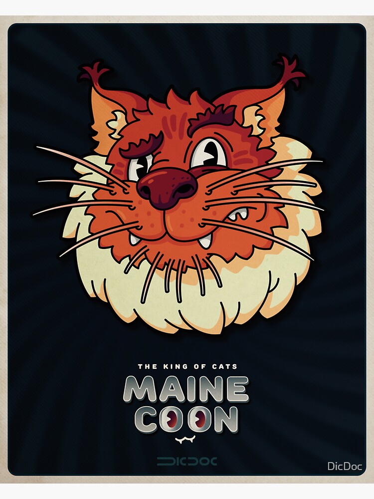 "Red Maine Coon - the king of cats | poster" Sticker for Sale by DicDoc ...