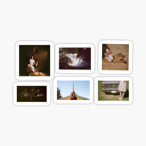 "Ethel Cain sticker pack" Sticker for Sale by Star Crossed | Redbubble