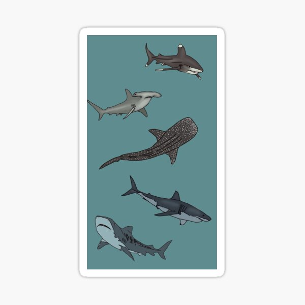 "Sharks!!" Sticker for Sale by designsbymacys | Redbubble