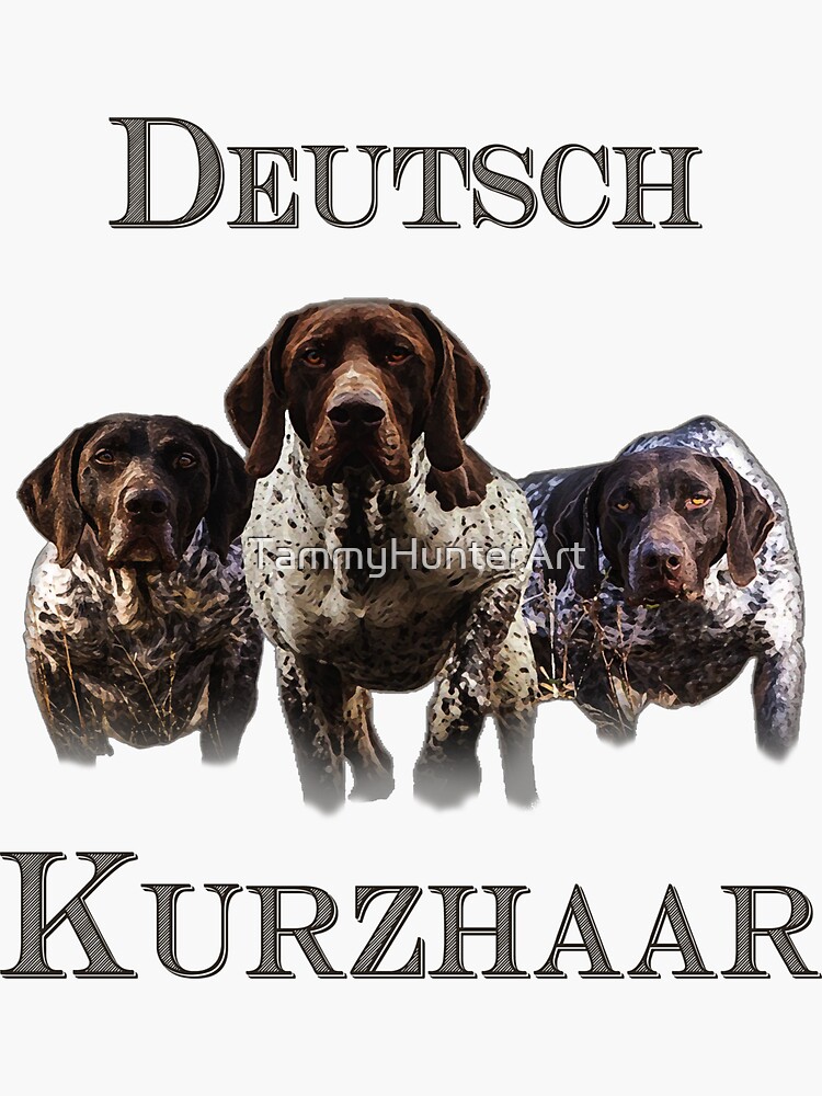 "German shorthaired pointers on point" Sticker for Sale by ...
