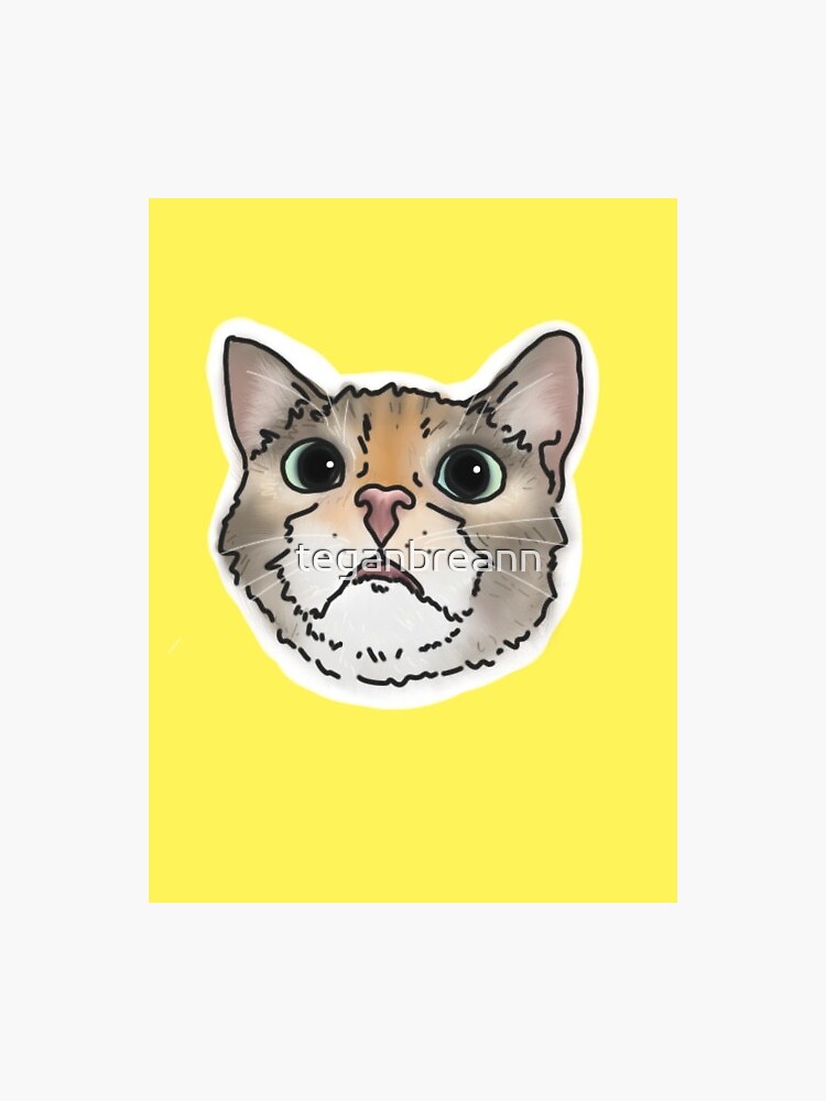 "Ari the Cat" Sticker by teganbreann | Redbubble