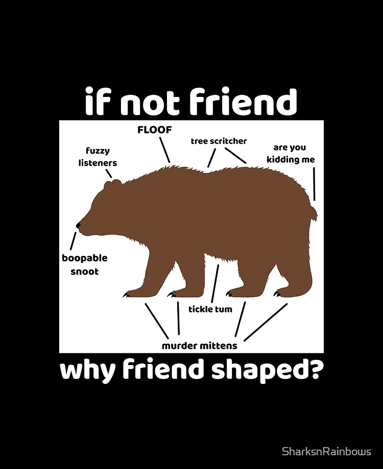 "If not friend, why friend shaped? Bear anatomy in a square" iPad Case ...