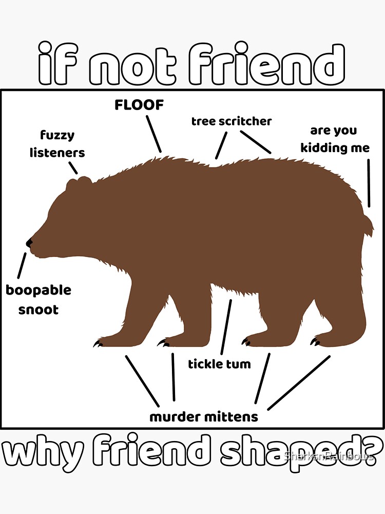 "If not friend, why friend shaped? Bear anatomy in a square" Sticker ...