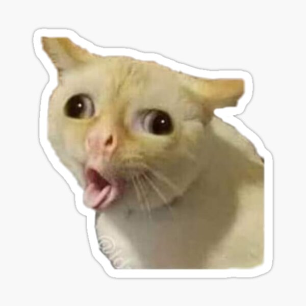 "funny cat coughing" Sticker for Sale by bronte2004 | Redbubble