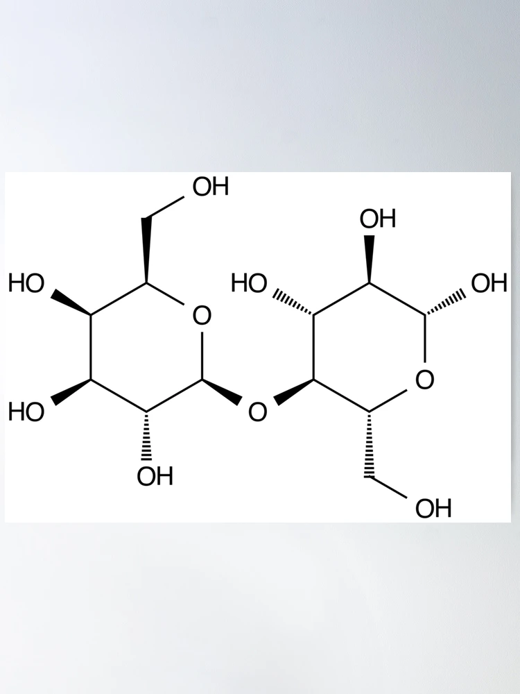 Chemical Structure Of Lactose