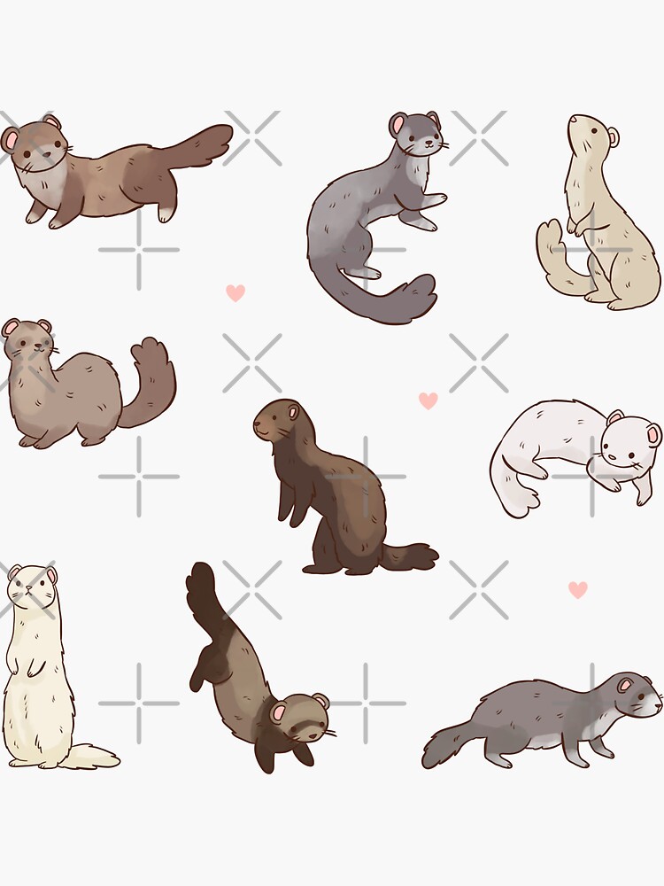 "Cute cartoon Ferrets illustration pack " Sticker for Sale by ...