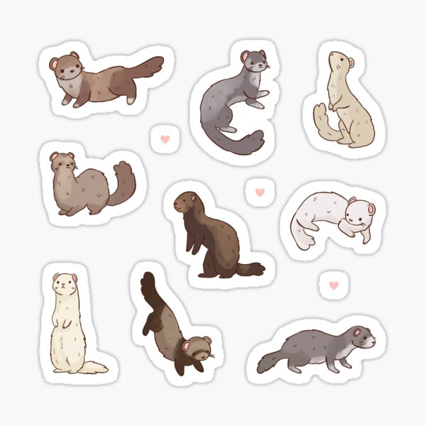 "Cute cartoon Ferrets illustration pack " Sticker for Sale by ...