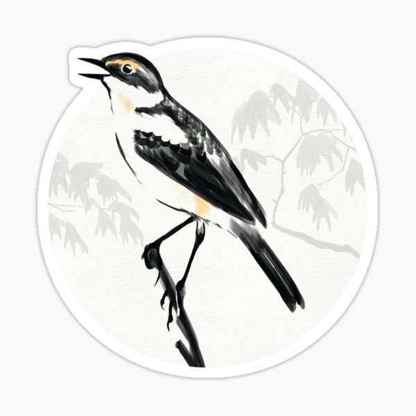 "Wagtails Sing" Sticker by lisafurze | Redbubble