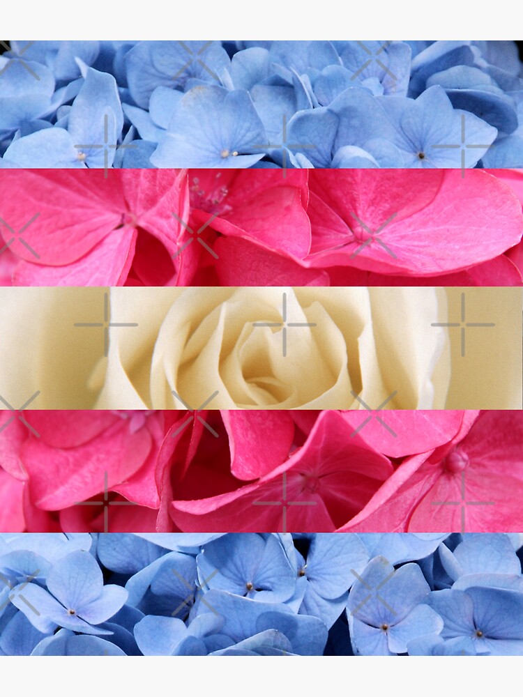 "Trans Pride Flower Moodboard Transgender Pride Flag" Sticker for Sale ...