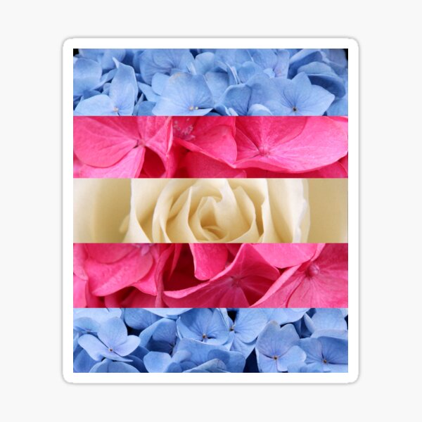 "Trans Pride Flower Moodboard Transgender Pride Flag" Sticker for Sale ...