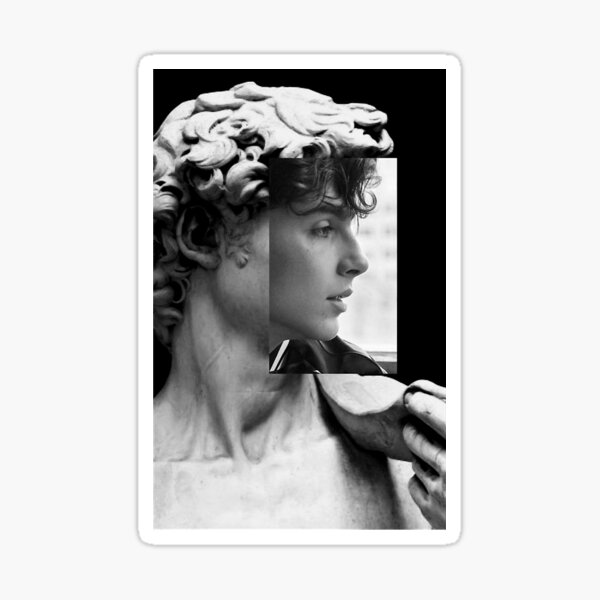 "Statute Of David Saint Timothee Chalamet" Sticker for Sale by ...
