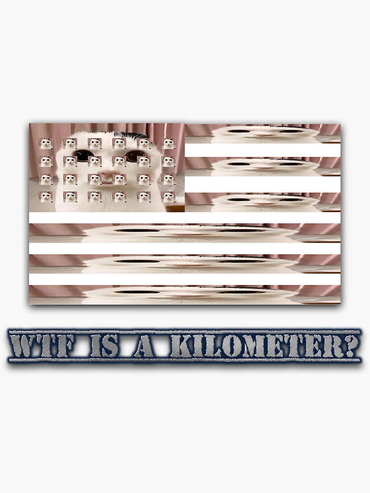 "wtf is a kilometer? goofy ahh cat" Sticker for Sale by meejimo | Redbubble